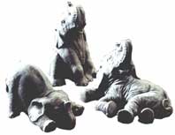 Plaster Models